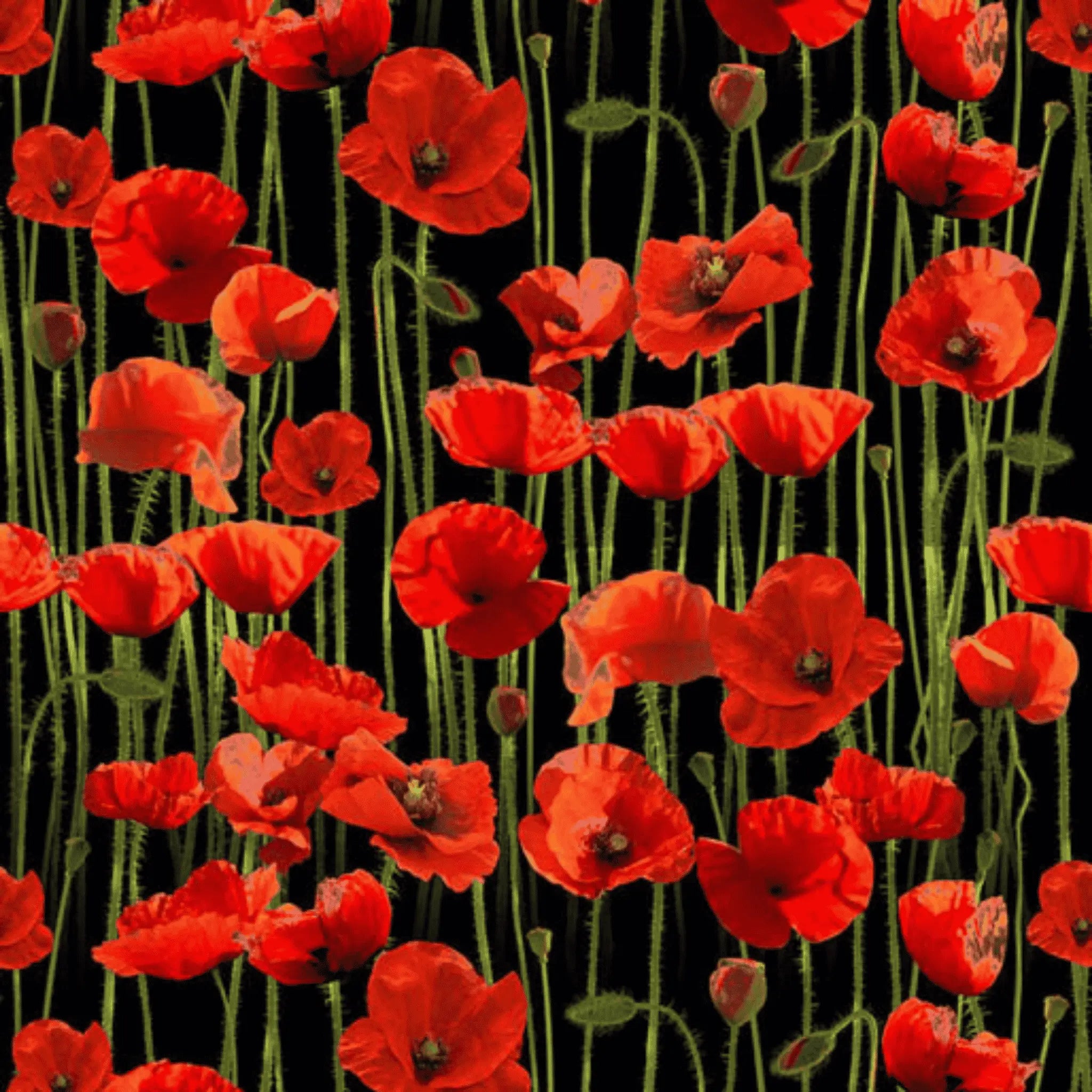 Remembering ANZAC: Poppies on Black Allover by KK FabricsRemembering ANZAC: Poppies on Black ...